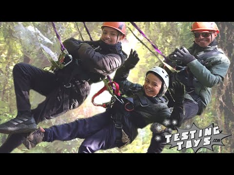 Zip-lining an ancient 1000 year old New Zealand forest with Rotorua ...