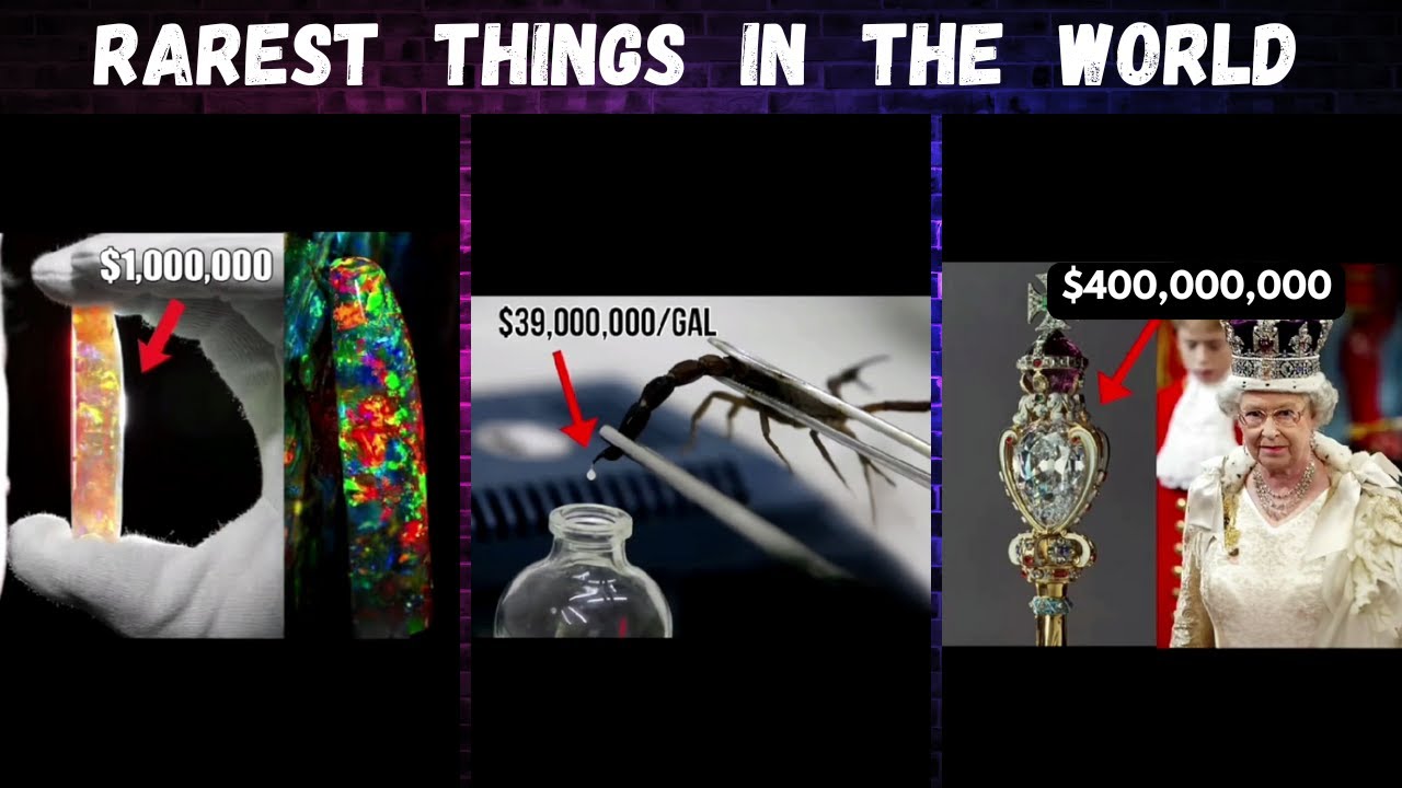 10 Rarest Things in the World You Won't Believe Exist pt.1 - YouTube