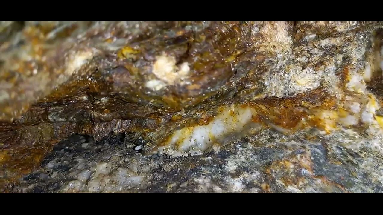 Exploring an old gold mine - YouTube