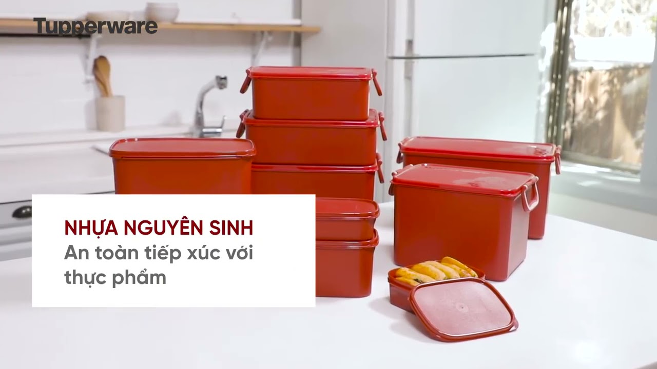 Cách bảo quản kimchi lâu và ngon bằng hộp Tupperware Kimchi Keeper ngâm ...