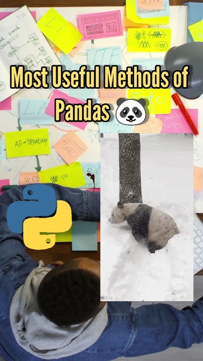 Most Useful Methods of Pandas | @pythonintelugu - YouTube