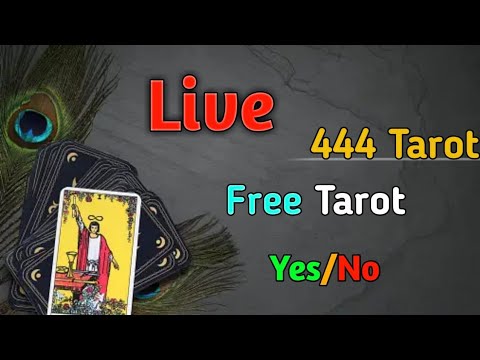 Yes No Tarot Live