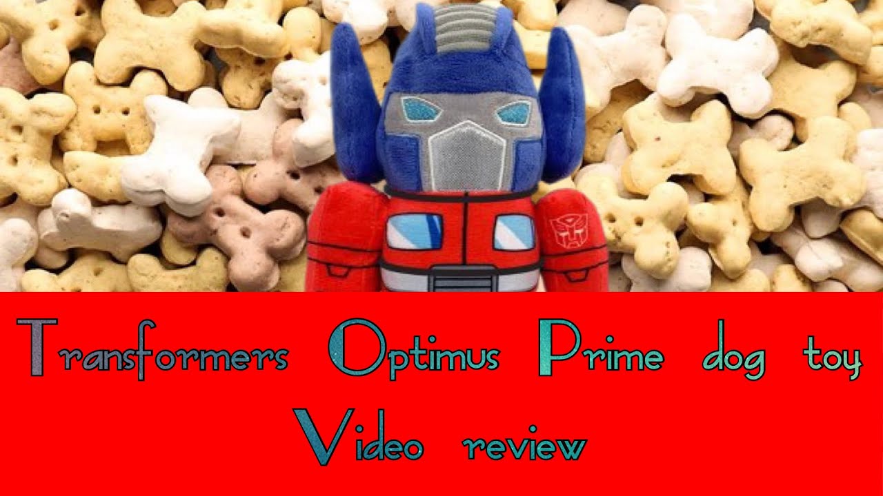 🦝Transformers Optimus Prime dog toy video review🦝 - YouTube