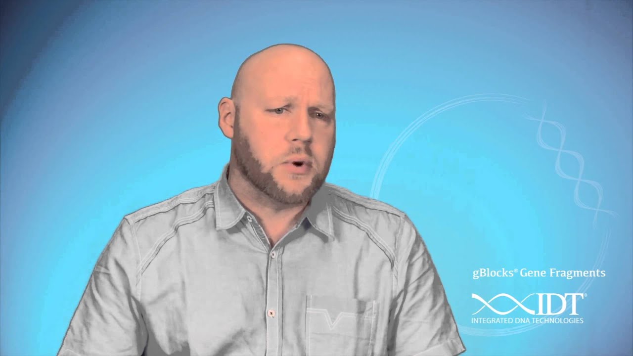 Using gBlocks® Gene Fragments as Synthetic Templates for qPCR - YouTube