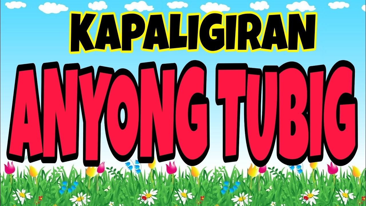MGA ANYONG TUBIG - Teacher ANNE ALFARO - YouTube