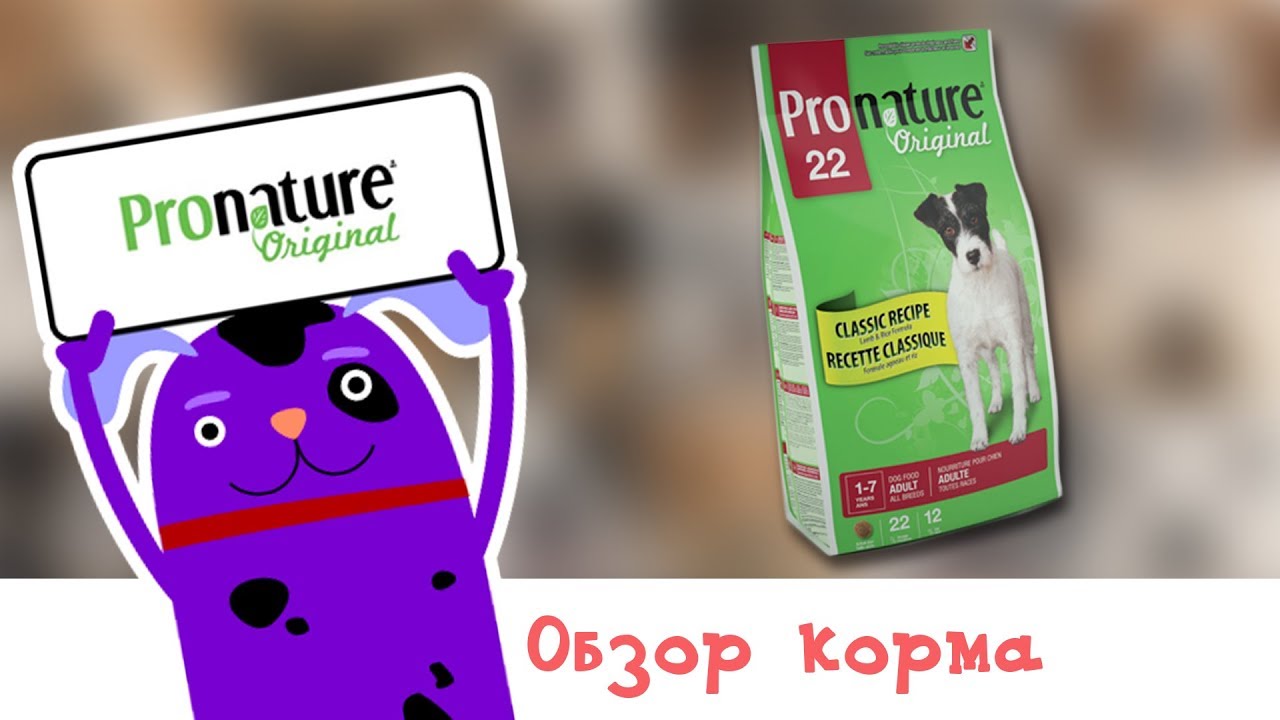 Обзор корма Pronature Original 22 Classic Recipe Adult Dog All Breeds ...