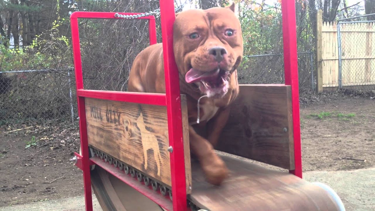 DDK9's DEMO "Drive" "Slotmill" with "The General" - YouTube