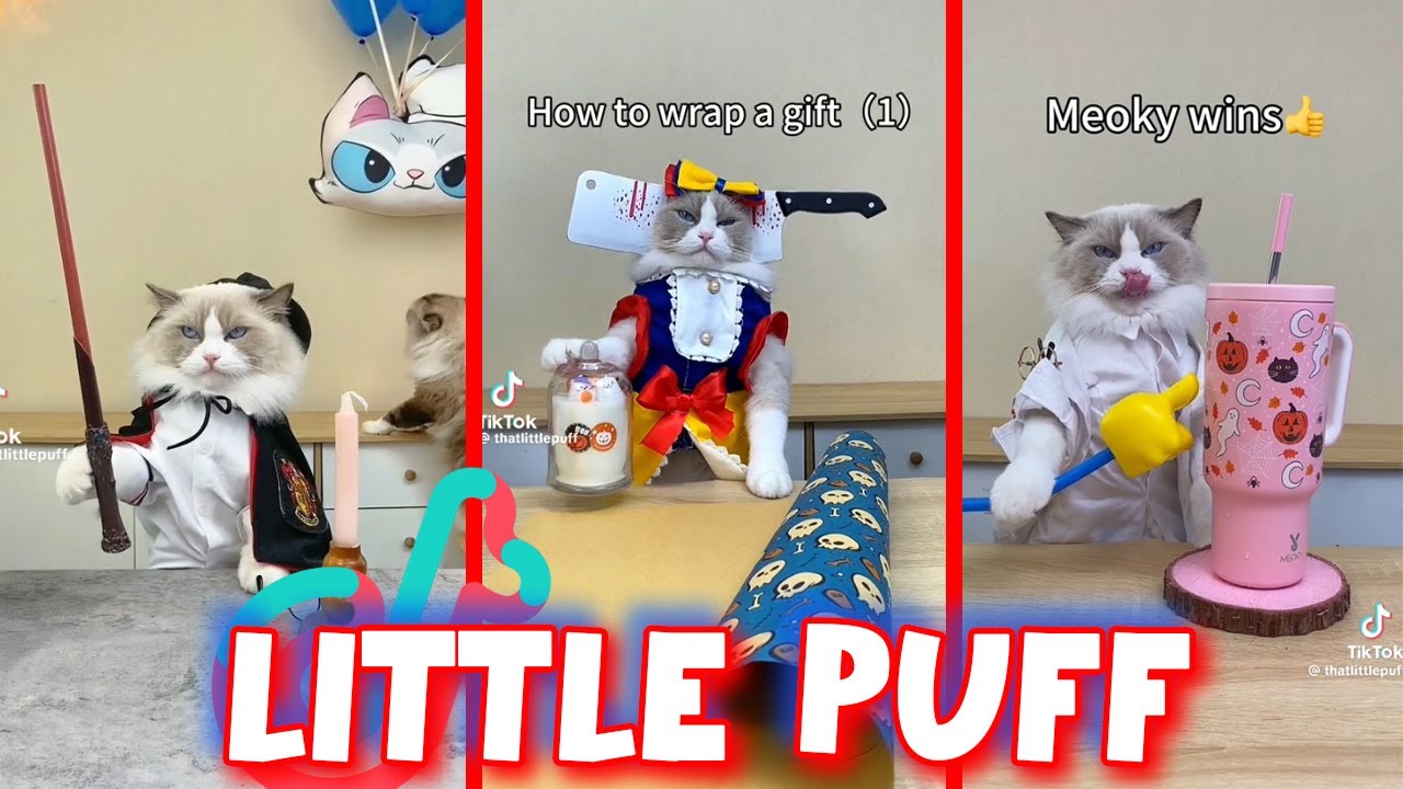 That Little Puff | COMEDY TIKTOKS | November 2023 - YouTube