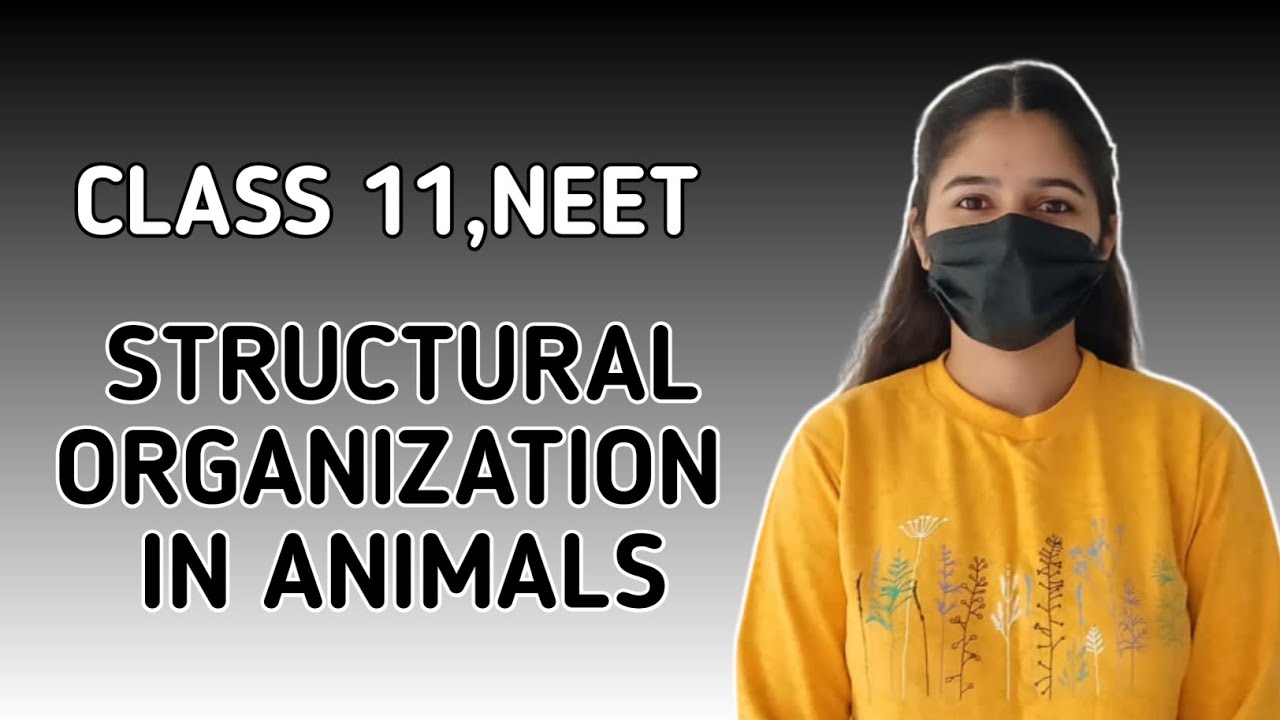 Structural Organization In Animals |Animal Tissues |Lecture 2 |Class ...