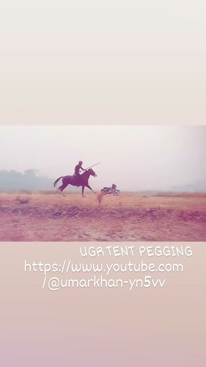 # umar Ghazi rider tent pegging for ( bella) - YouTube