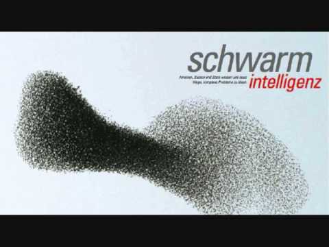 Schwarmintelligenz - Wie clever ist das Kollektiv - - YouTube