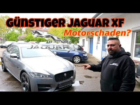 Günstig Katze mit Motor Probleme. Jaguar XF. Motorschaden?Ottocast P3