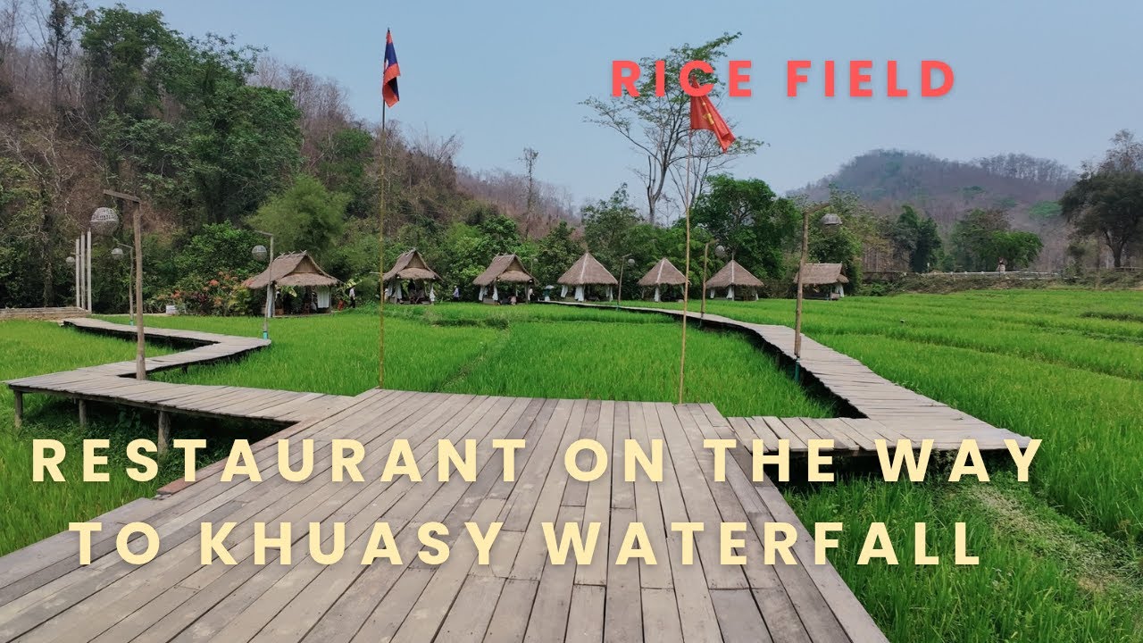Rice Field Restaurant - YouTube