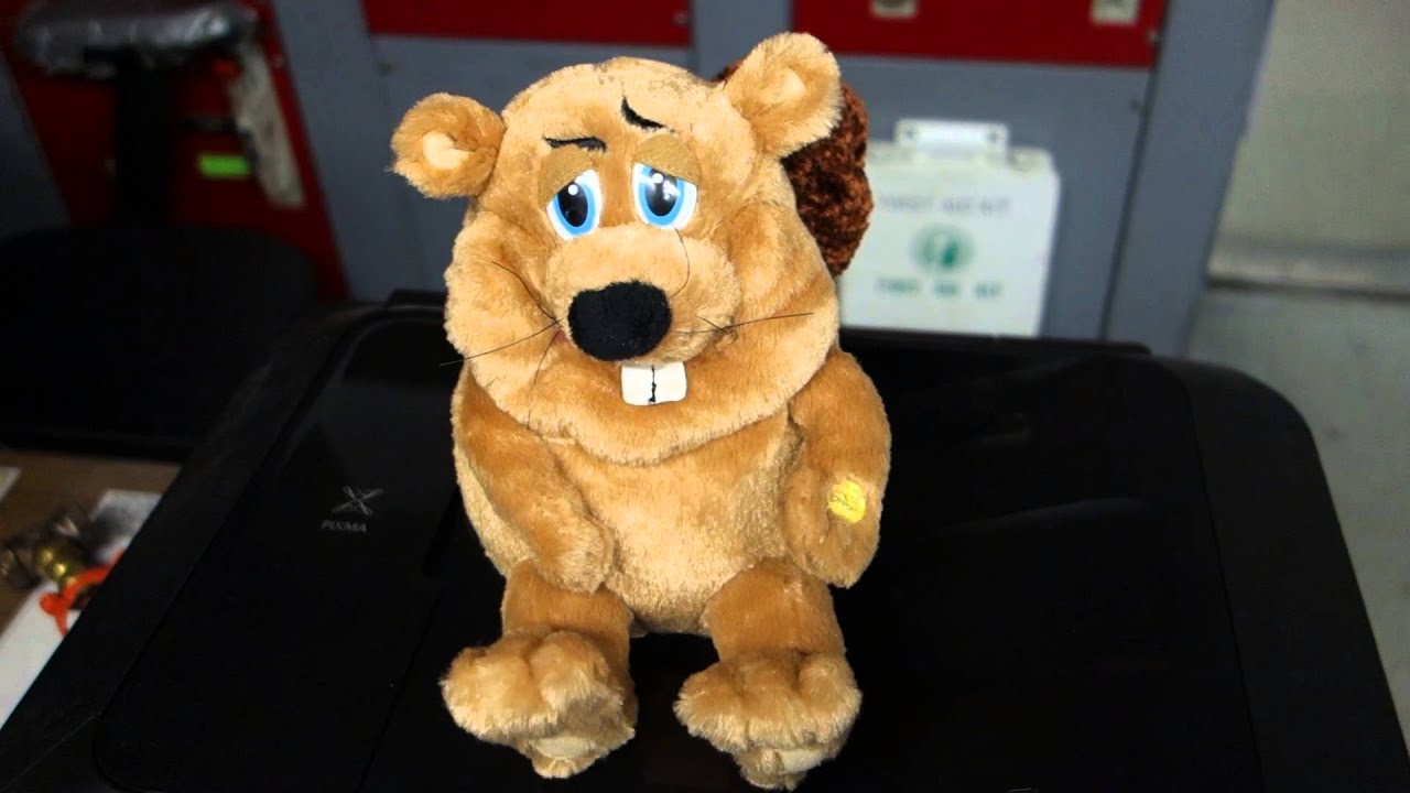 Singing Beaver Toy Gemmy corp Beaver sing Monty Python - YouTube