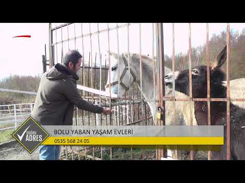 BOLU YABAN YAŞAM EVLERİ- DOĞRU ADRES TGRT EURO