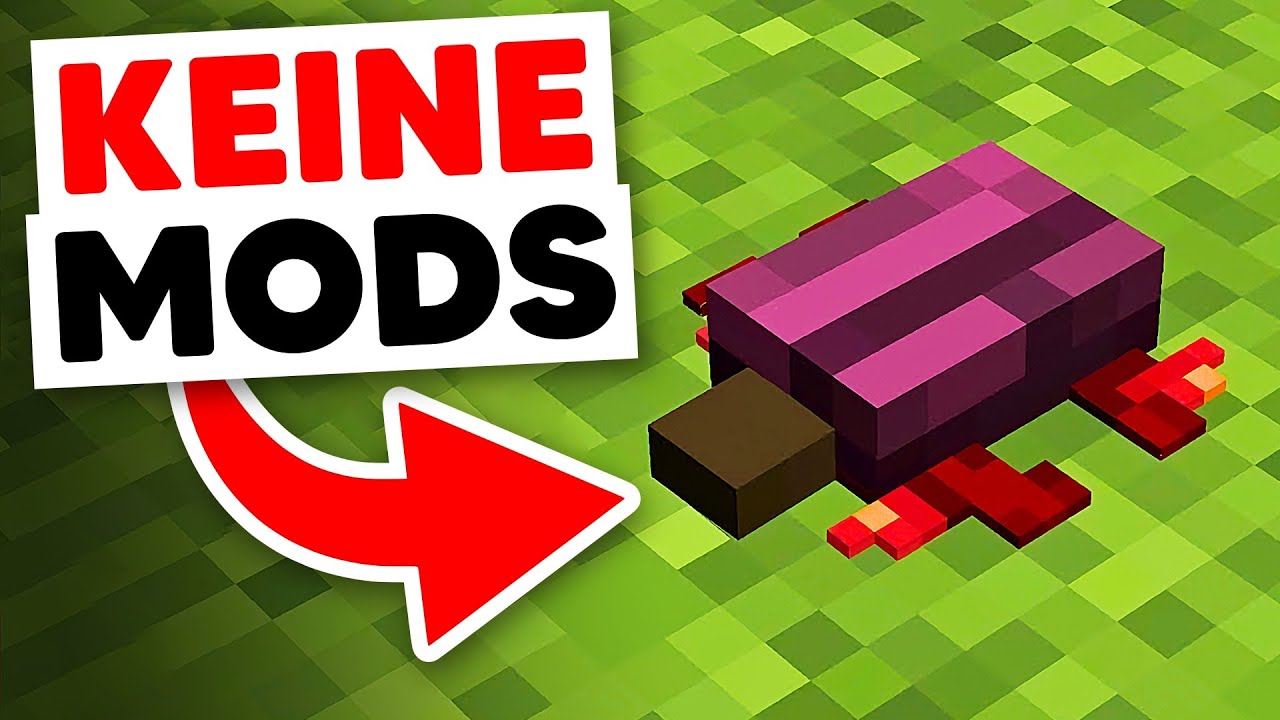 23 DINGE in Minecraft die du noch NICHT BEMERKT hast! - YouTube