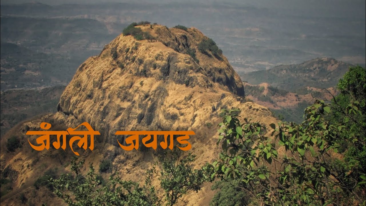 JUNGLI JAIGAD FORT | JUNGLE TREK | KOYNANAGAR | MAHARASHTRA | TREKKING ...