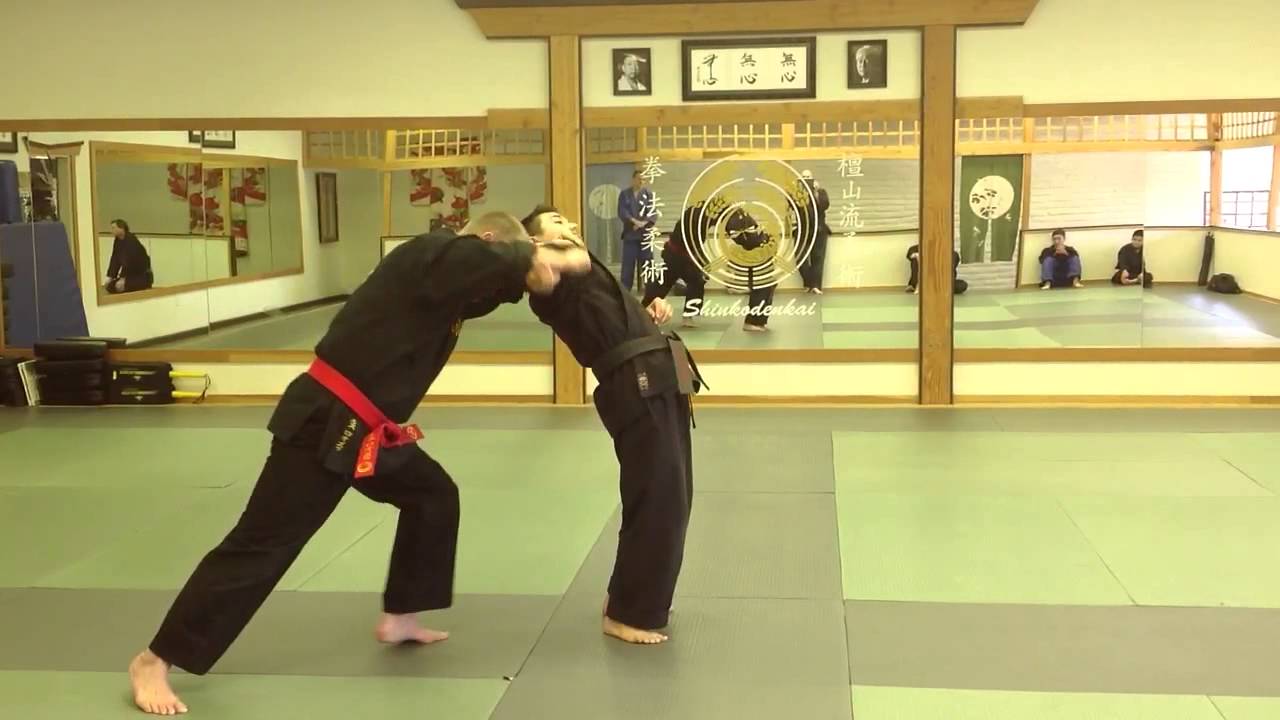 Kodenkan Danzan Ryu. Transition (Henka) Ryoeri - Arashi Otoshi - Shihan ...