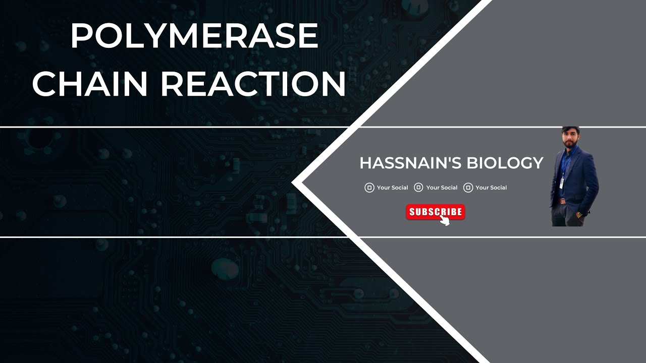 polymerase chain reaction (12th Biology) @hassnain's Biology - YouTube