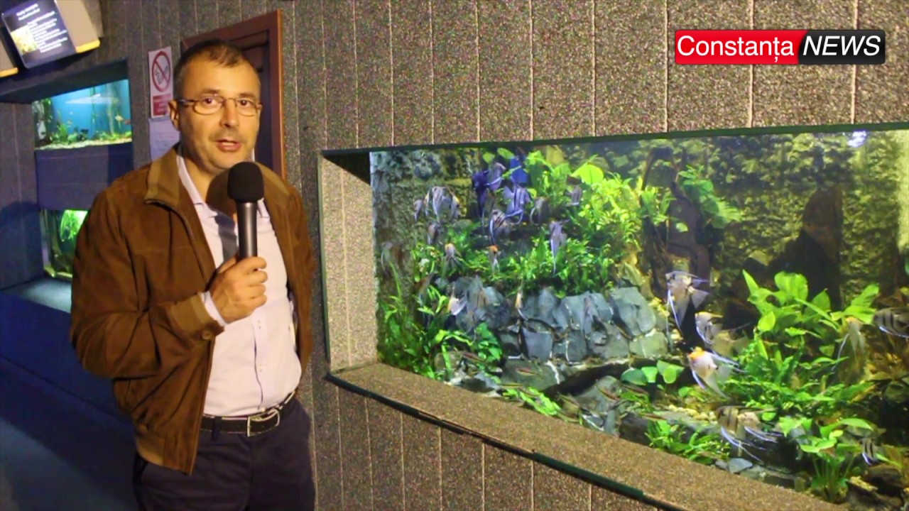 ctnews ro | Vizita la Acvariul Constanta - episodul 2 - YouTube