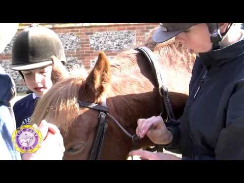 Putting on a Bridle