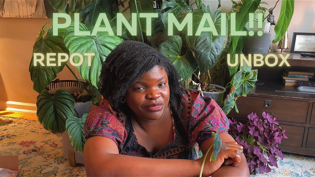 🌿📦 First Plant Mail of 2024!! Unboxing + potting them up! - YouTube
