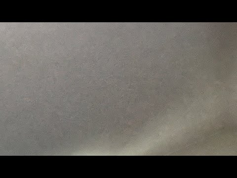 Panda Pizza Parlor Live Stream Pt.1 - YouTube