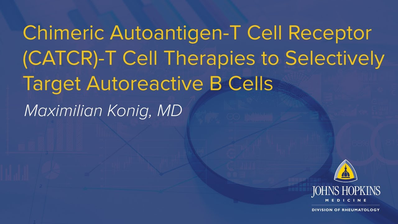 New Therapy Targets Autoreactive B Cells in Autoimmunity | Johns ...