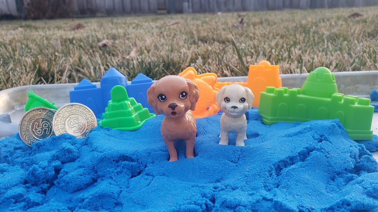 Sand! - Pups play in Blue sand - Puppy tales - Puppies - playing - Sand ...