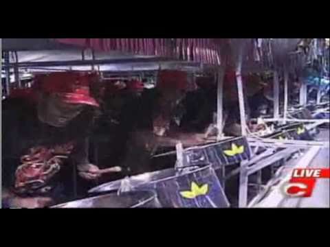 "Musical Magnum" - WITCO Desperadoes (2010 Panorama Semi-Finals) - YouTube