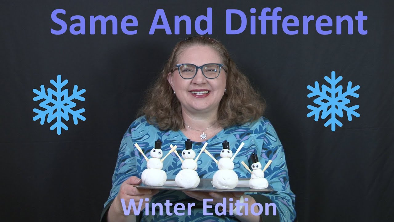 Same and Different Activity: Winter Edition! - YouTube