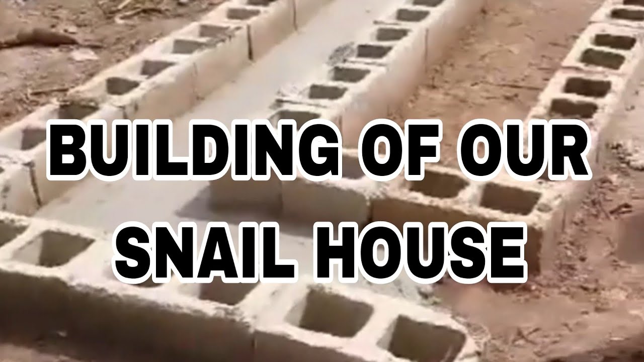 UPDATE ON OUR SNAIL HOUSE BUILDING. - YouTube