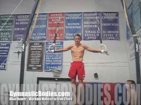 Learn How to Use Gymnastic Rings - Allan Bower Working Maltese to Iron ...
