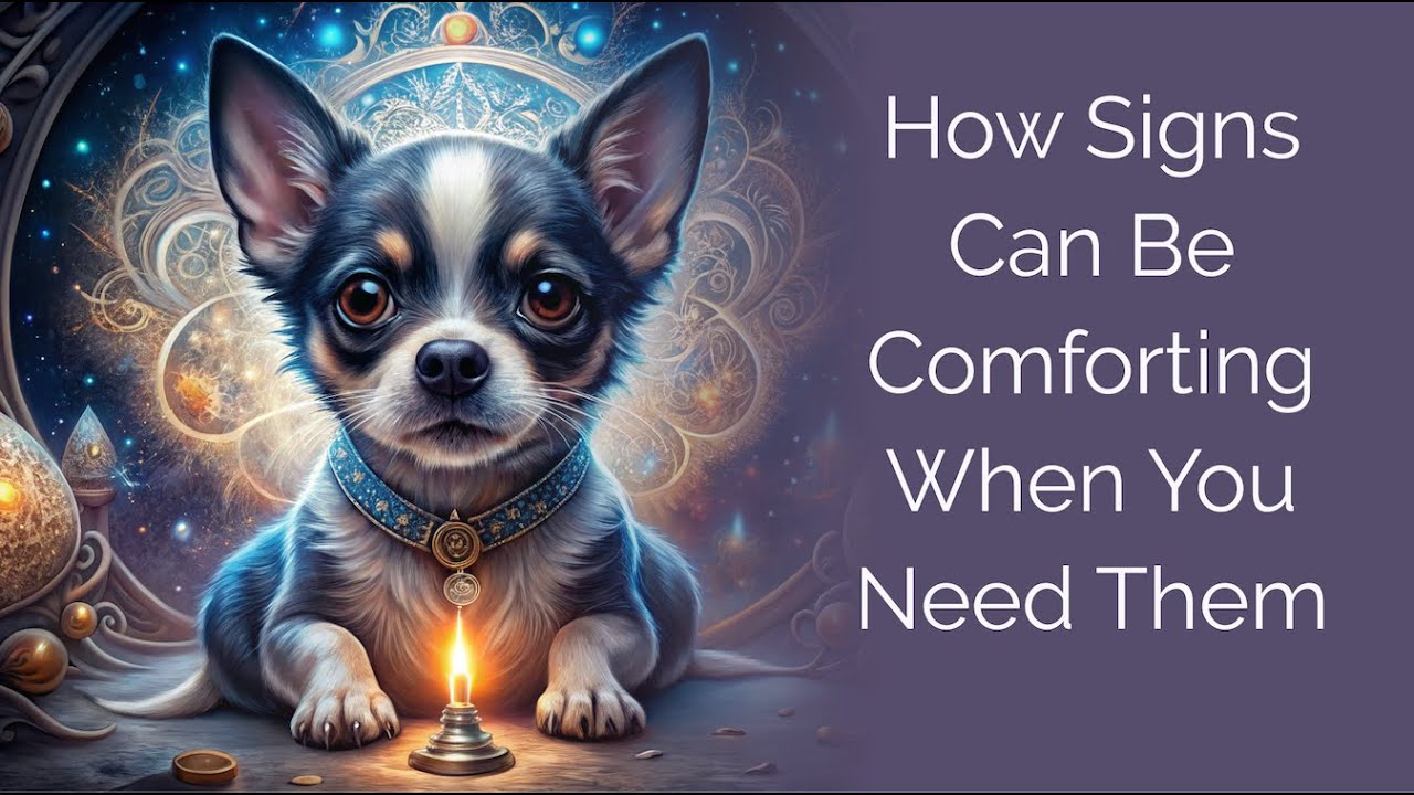 How Signs Can Be Comforting When You Need Them - YouTube