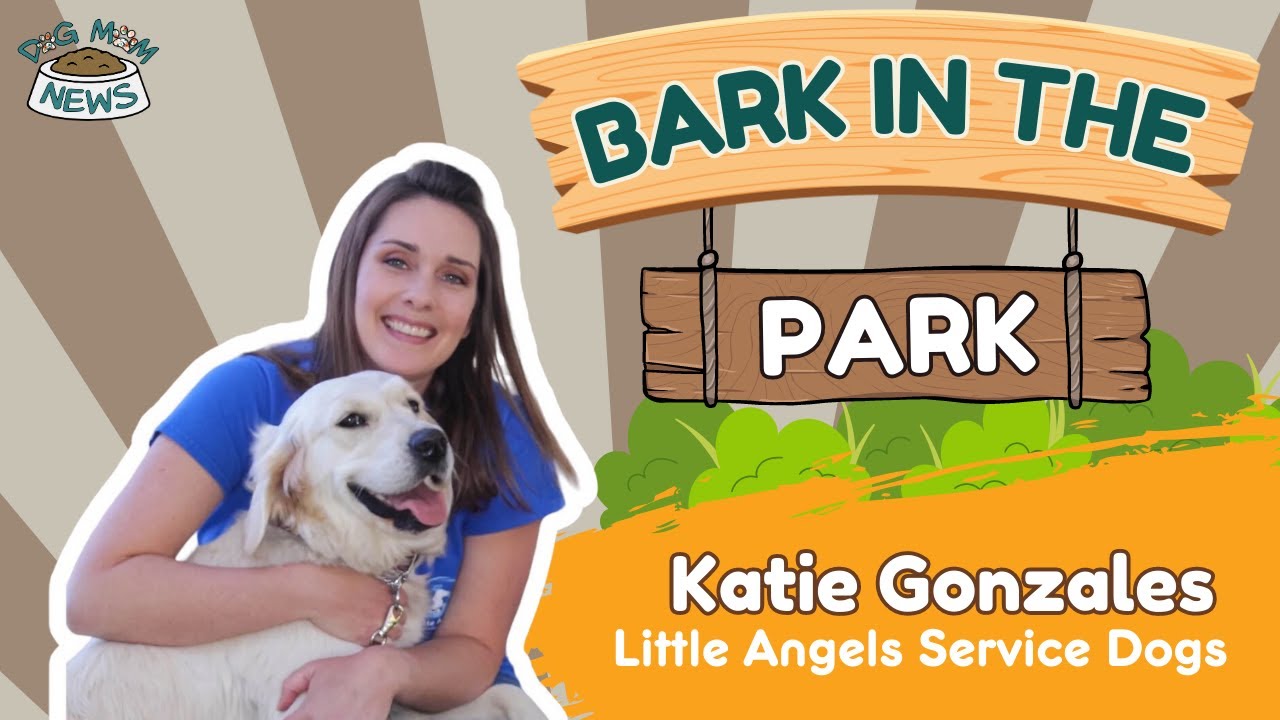 Katie Gonzales of Little Angels Service Dogs Shares Service Dogs ...