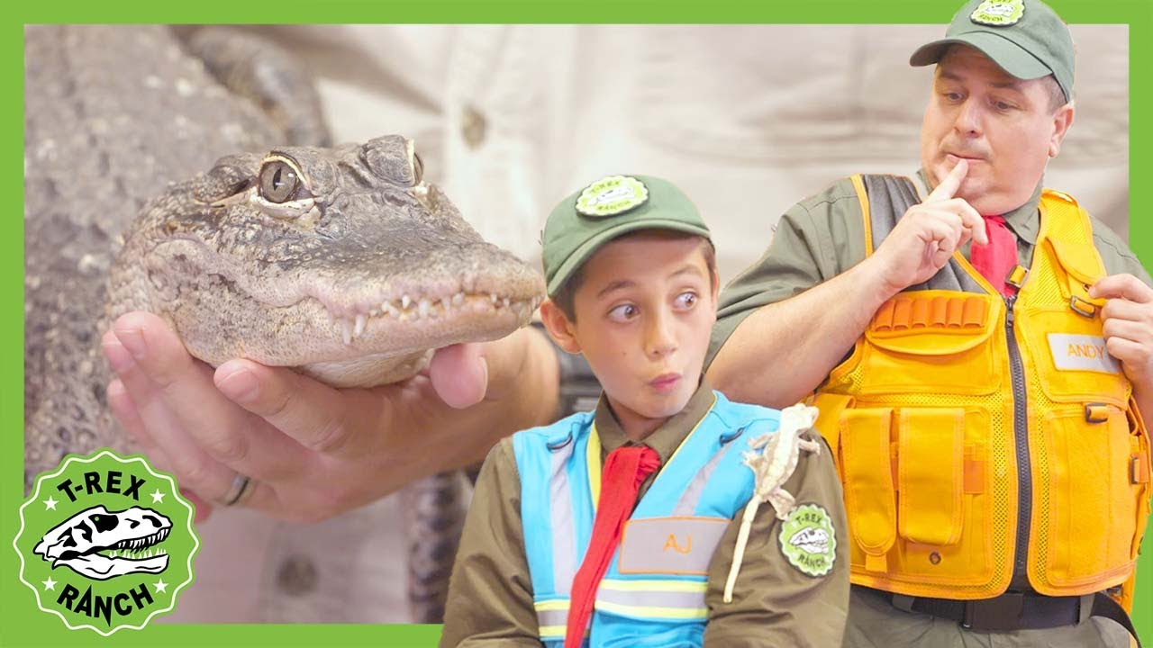 Meet The Reptiles! T-Rex Ranch Dinosaur Videos - YouTube