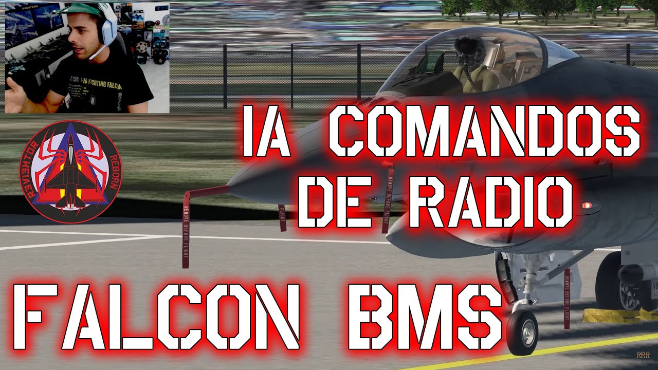 FALCON BMS - EXPLICACION DE COMANDOS WEAPONS HOLD PARA LA IA - YouTube