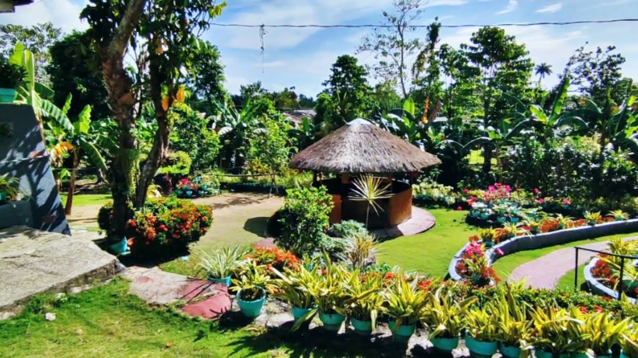 Awesome Garden Ideas|| 40 years na nilang inaalagaan ang magandang ...