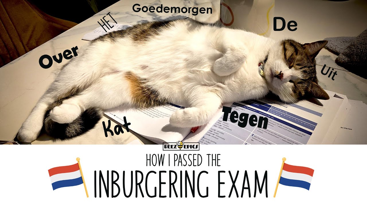 Top Tips For Passing The Dutch Inburgering Exam (A2) - YouTube