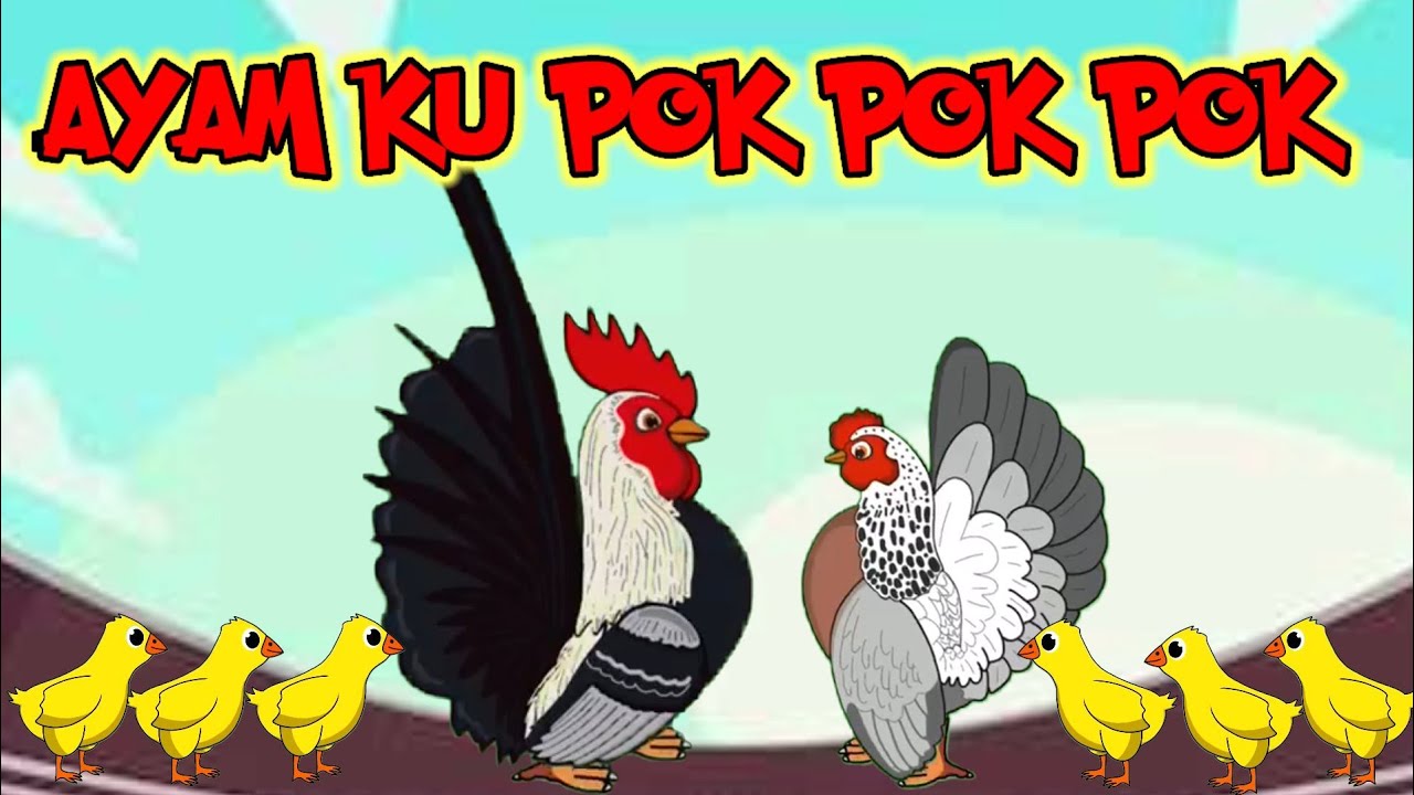 ayam ayam lucu//AYAMKU KOK KOK KOK//Lagu anak Indonesia - YouTube