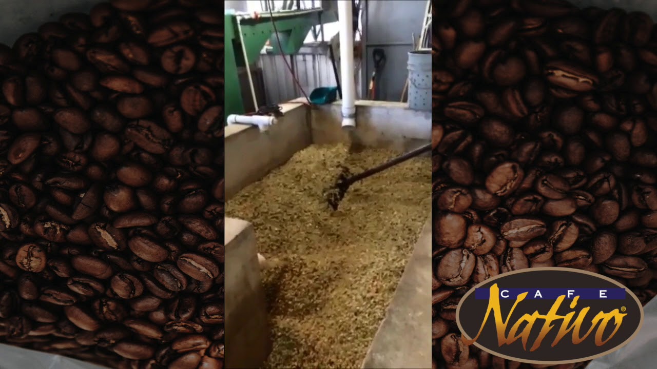Cafe Nativo - YouTube
