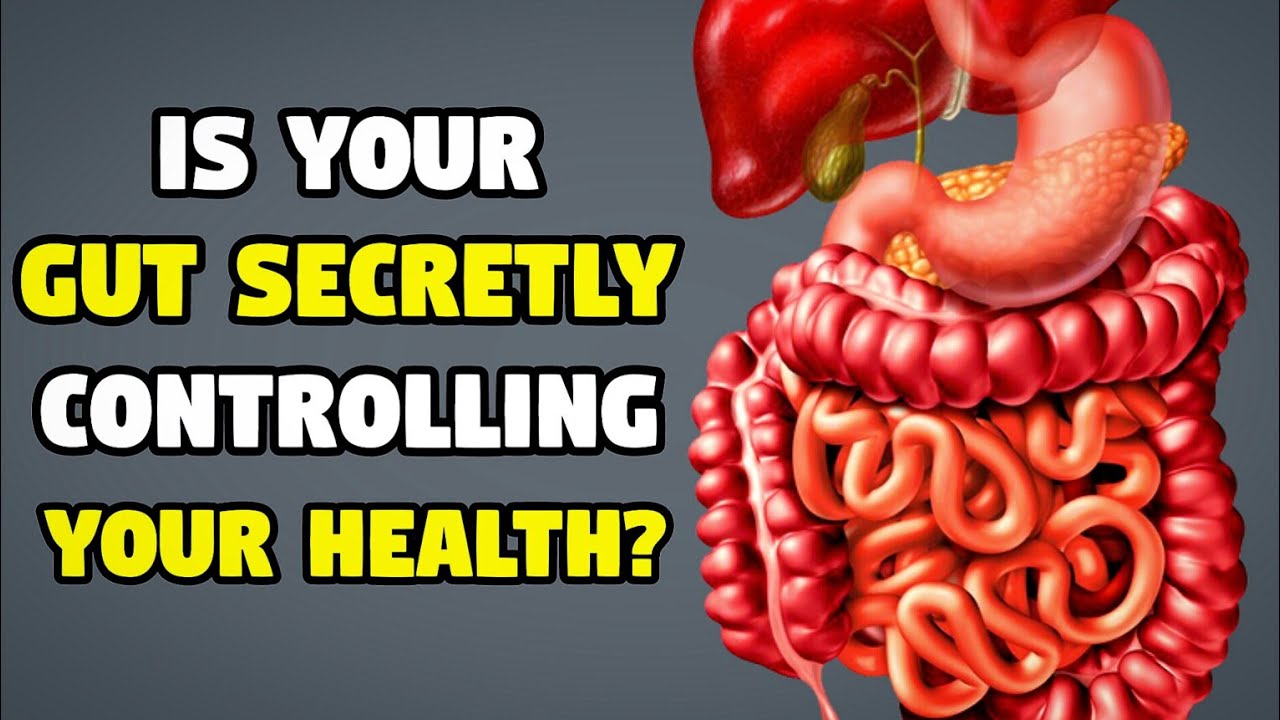 Gut-Body Connection: How Your Gut Health Impacts Overall Well-being ...