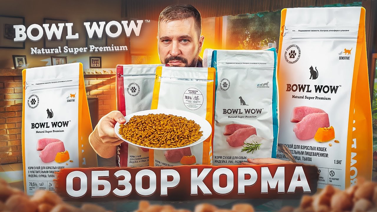 Кошачий сухой корм BOWL WOW | Очень болтливый ОБЗОР КОРМА для кошек ...