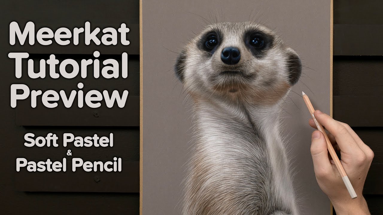 How to Draw Realistic Animals | Soft Pastels & Pastel Pencils | Meerkat ...