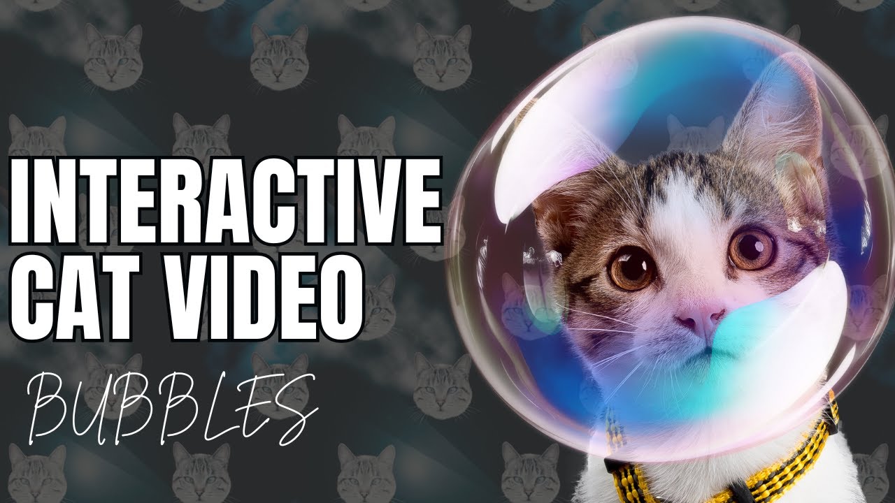 🐾 Interactive Cat Video: 30 Minutes of Mesmerizing Bubbles for Cats to ...