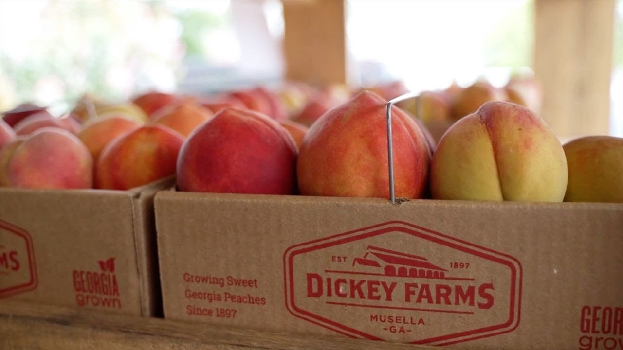 Dickey Farms - A Fork in the Road - YouTube