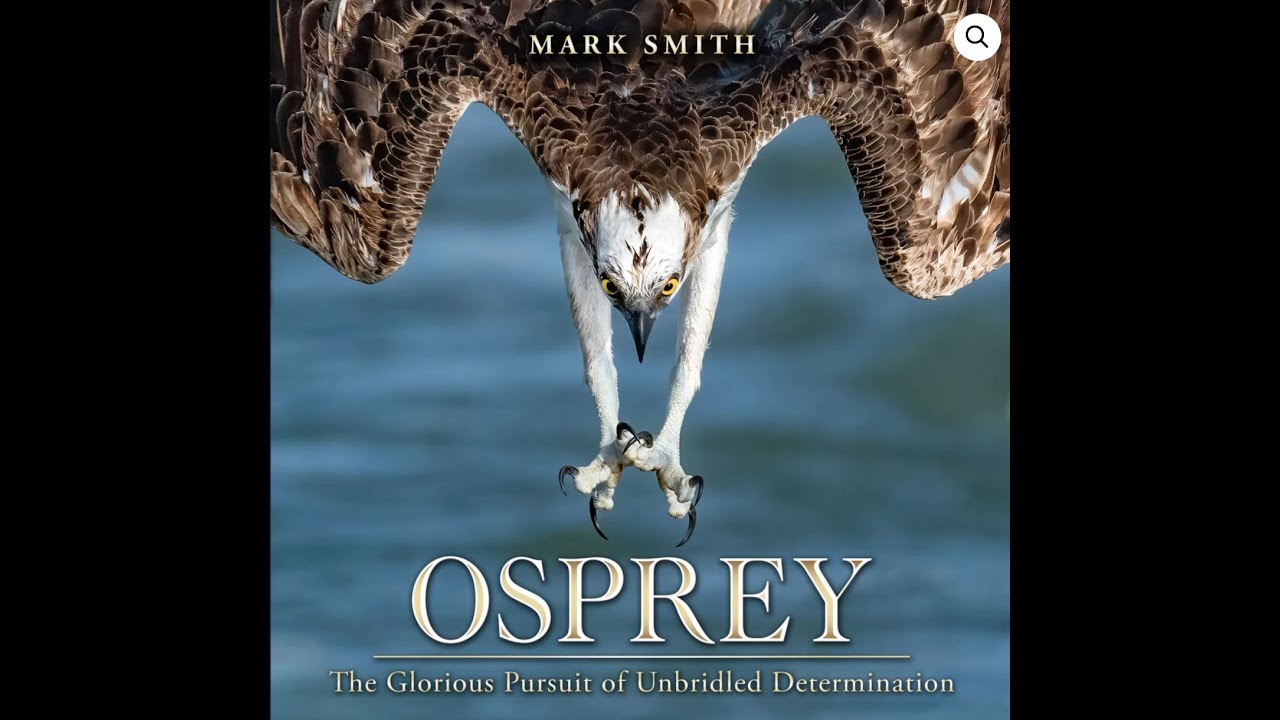The Osprey Has Landed - Mark Smith's Book Is Here! - YouTube