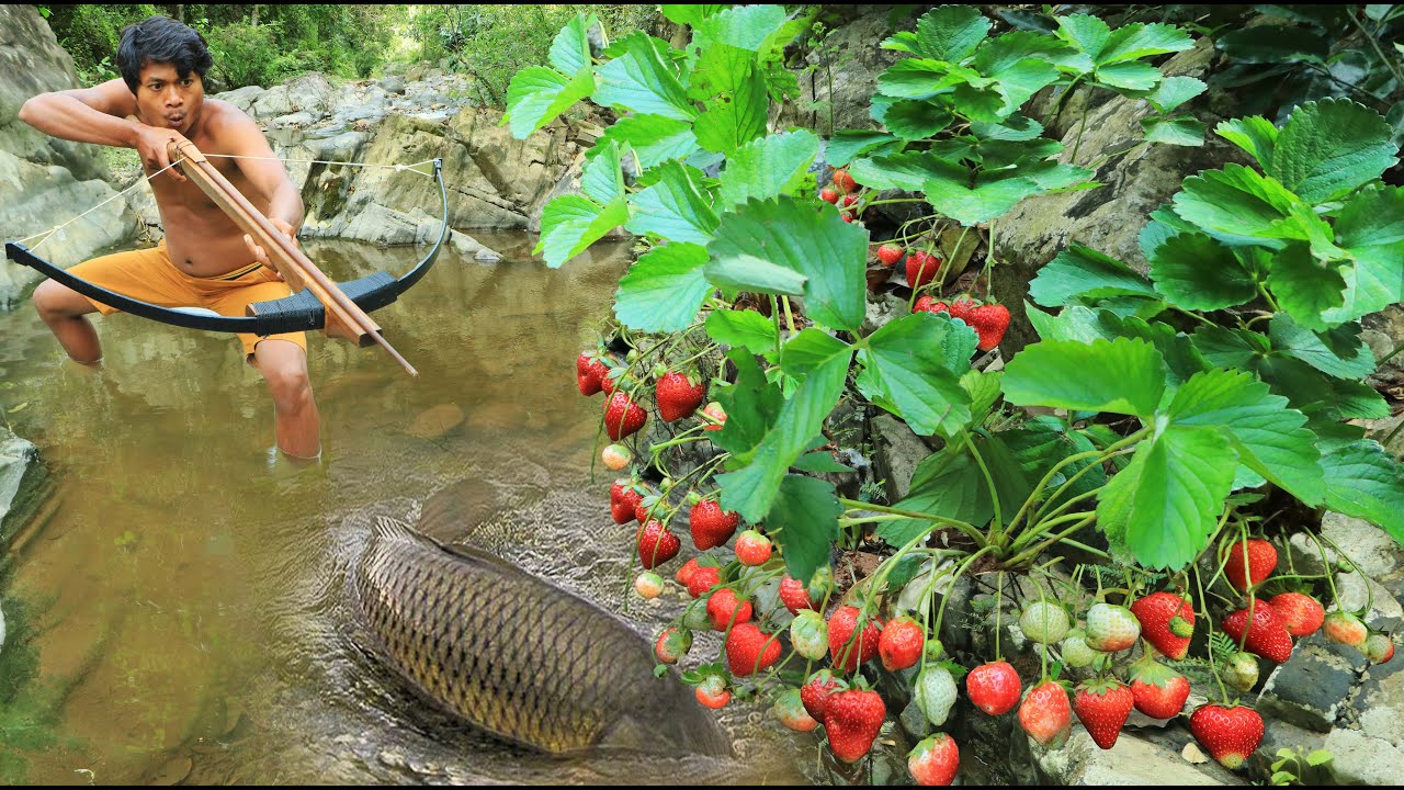 Fishing meet Stawberry - grilled fish eating with stawberry so ...