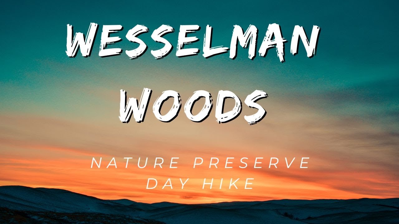 Wesselman Woods Nature Preserve - YouTube