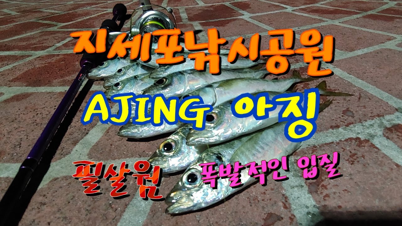 1타1피 던지면 무는 필살웜 지세포낚시공원 아징 AJING あじ アジ釣り - YouTube